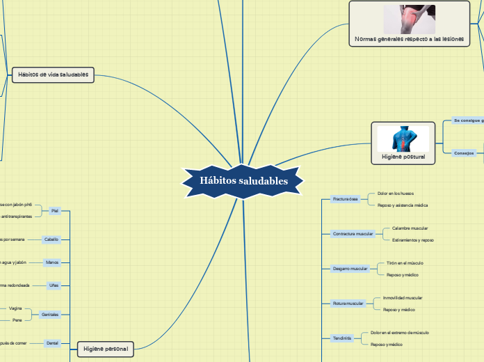 Hábitos saludables - Mind Map